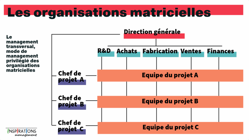 Les différences entre management fonctionnel et transversal